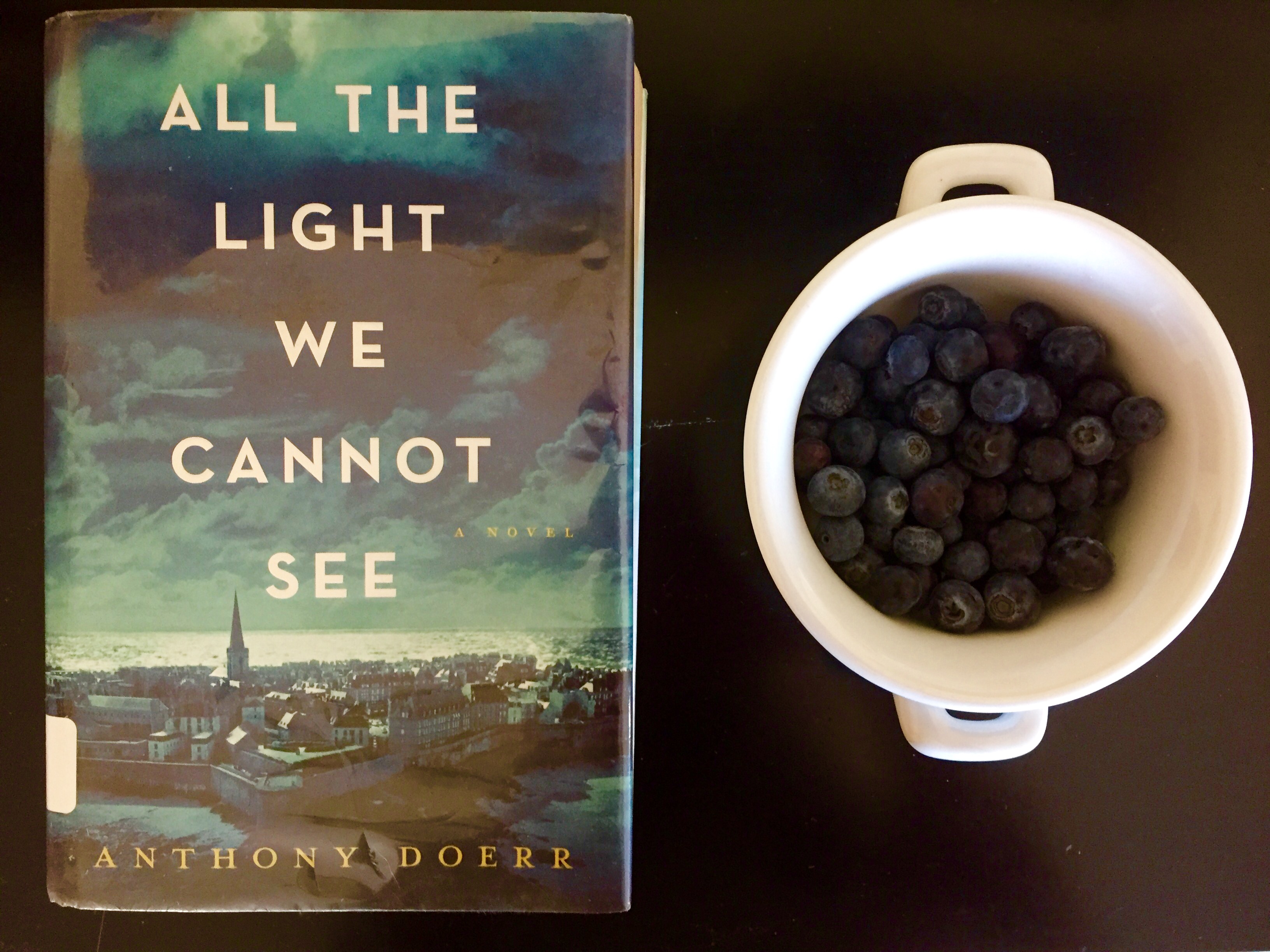 Review: All the Light We Cannot See by Anthony Doerr – The Bookshop Barista